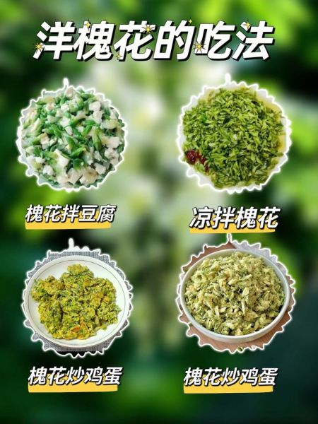 凉拌洋槐花的做法_洋槐花怎么焯水不变色-第2张图片-山城妙识 凉拌洋槐花的做法_洋槐花怎么焯水不变色-第2张图片-山城妙识