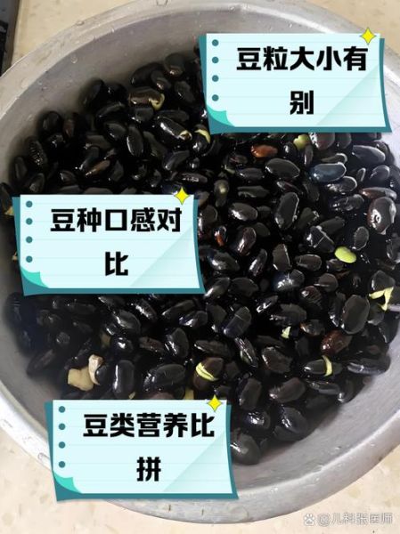 大黑豆和小黑豆哪个好_功效区别是什么-第3张图片-山城妙识 大黑豆和小黑豆哪个好_功效区别是什么-第3张图片-山城妙识