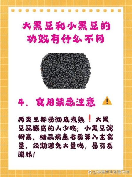 大黑豆和小黑豆哪个好_功效区别是什么-第2张图片-山城妙识 大黑豆和小黑豆哪个好_功效区别是什么-第2张图片-山城妙识