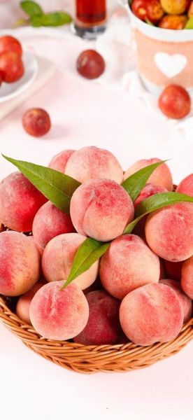 杏梅的功效与作用禁忌_杏梅什么人不能吃-第2张图片-山城妙识 杏梅的功效与作用禁忌_杏梅什么人不能吃-第2张图片-山城妙识