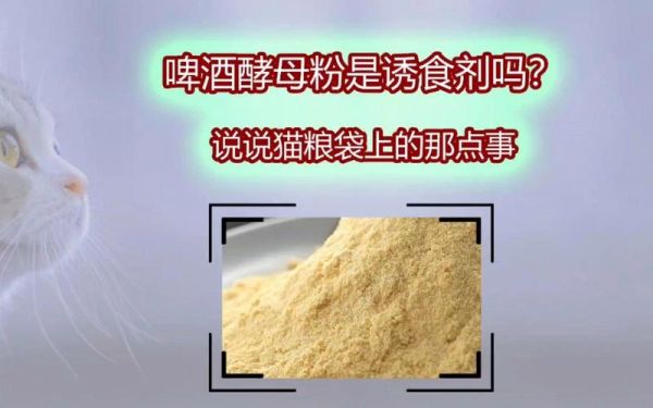 啤酒酵母是诱食剂吗_啤酒酵母对宠物安全吗-第2张图片-山城妙识 啤酒酵母是诱食剂吗_啤酒酵母对宠物安全吗-第2张图片-山城妙识