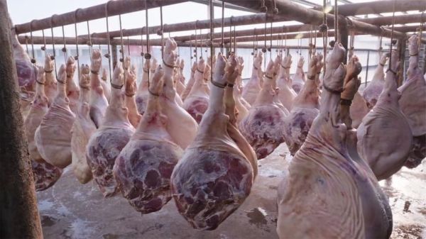 火腿怎么腌制_火腿腌制最佳方法-第2张图片-山城妙识 火腿怎么腌制_火腿腌制最佳方法-第2张图片-山城妙识