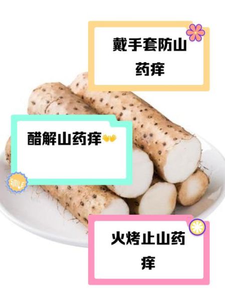 山药粘液过敏怎么办_山药削皮手痒怎么快速止痒-第3张图片-山城妙识 山药粘液过敏怎么办_山药削皮手痒怎么快速止痒-第3张图片-山城妙识