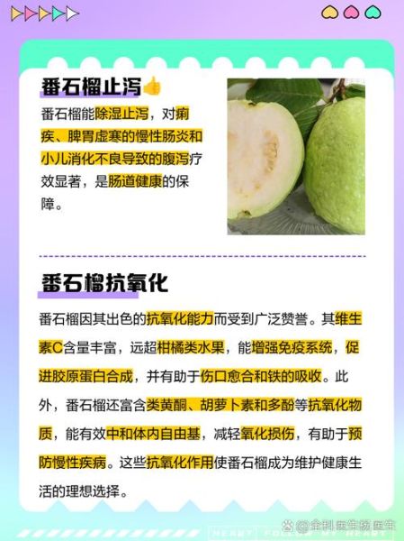 吃番石榴能减肥吗_番石榴的功效与作用有哪些-第1张图片-山城妙识 吃番石榴能减肥吗_番石榴的功效与作用有哪些-第1张图片-山城妙识