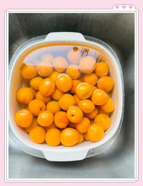 家庭自制杏干的做法_如何保存杏干不变色-第2张图片-山城妙识 家庭自制杏干的做法_如何保存杏干不变色-第2张图片-山城妙识
