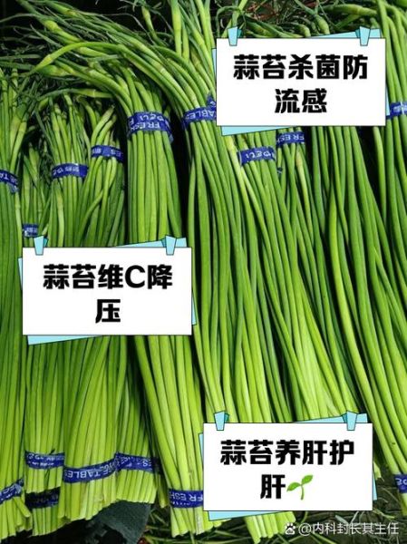 蒜苔的功效与作用_蒜苔能降血压吗-第2张图片-山城妙识 蒜苔的功效与作用_蒜苔能降血压吗-第2张图片-山城妙识