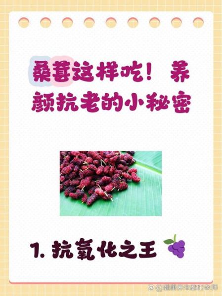 桑葚的功效与作用禁忌_桑葚怎么吃最好-第3张图片-山城妙识 桑葚的功效与作用禁忌_桑葚怎么吃最好-第3张图片-山城妙识