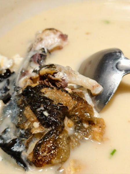 清炖花鲢鱼头汤怎么做_花鲢鱼头汤去腥技巧-第1张图片-山城妙识