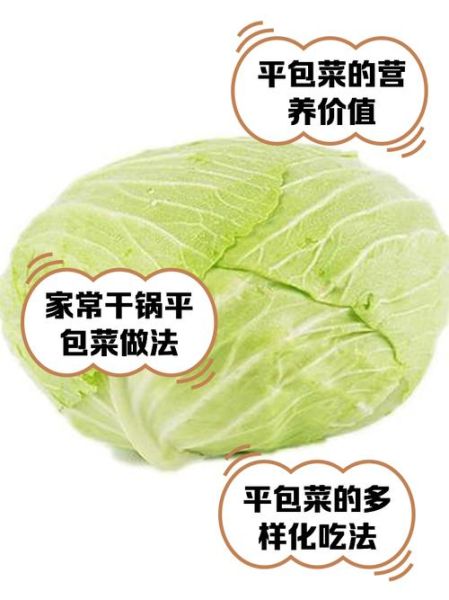 包菜的功效与作用_包菜的营养价值高吗-第3张图片-山城妙识 包菜的功效与作用_包菜的营养价值高吗-第3张图片-山城妙识