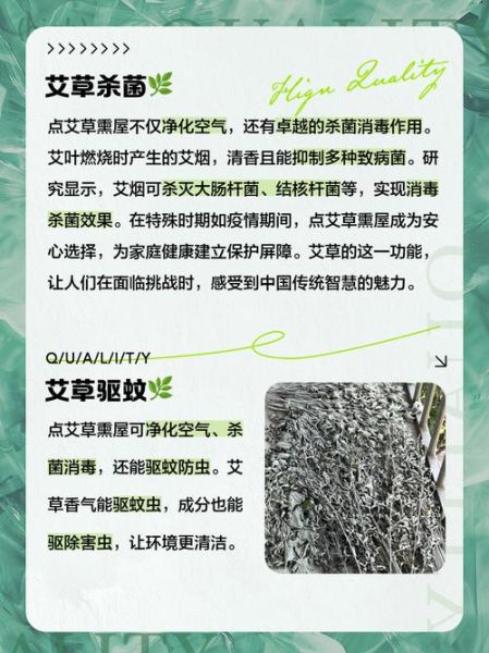 艾草熏房间有什么作用_艾草熏房间的正确方法-第3张图片-山城妙识 艾草熏房间有什么作用_艾草熏房间的正确方法-第3张图片-山城妙识