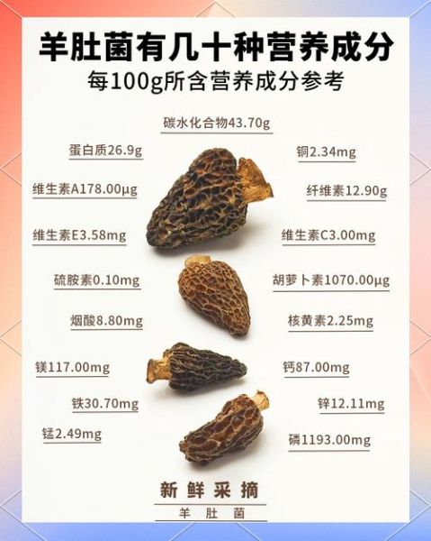 羊肚菌的功效与作用及禁忌_什么人不能吃-第3张图片-山城妙识 羊肚菌的功效与作用及禁忌_什么人不能吃-第3张图片-山城妙识