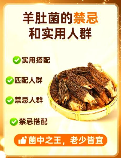 羊肚菌的功效与作用及禁忌_什么人不能吃-第2张图片-山城妙识 羊肚菌的功效与作用及禁忌_什么人不能吃-第2张图片-山城妙识