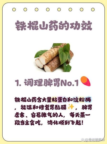 吃铁棍山药的副作用_哪些人不能吃铁棍山药-第2张图片-山城妙识 吃铁棍山药的副作用_哪些人不能吃铁棍山药-第2张图片-山城妙识
