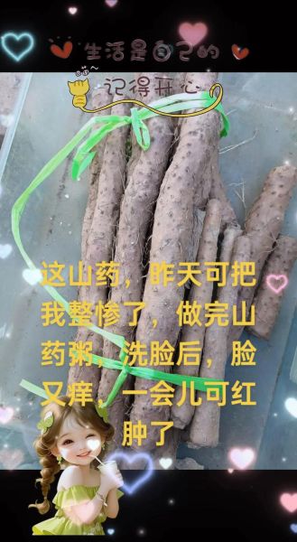 吃铁棍山药的副作用_哪些人不能吃铁棍山药-第3张图片-山城妙识 吃铁棍山药的副作用_哪些人不能吃铁棍山药-第3张图片-山城妙识