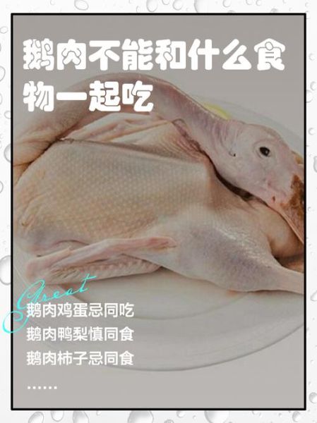 鹅肉哪些人不能吃_痛风患者能吃鹅肉吗-第1张图片-山城妙识