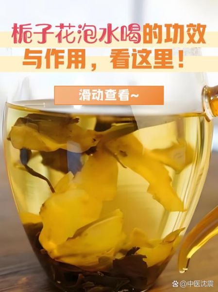 女人用栀子泡水喝好吗_栀子花茶的禁忌与功效-第1张图片-山城妙识 女人用栀子泡水喝好吗_栀子花茶的禁忌与功效-第1张图片-山城妙识
