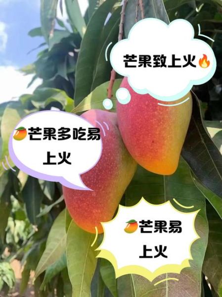 吃芒果会上火吗_芒果上火真相-第1张图片-山城妙识 吃芒果会上火吗_芒果上火真相-第1张图片-山城妙识