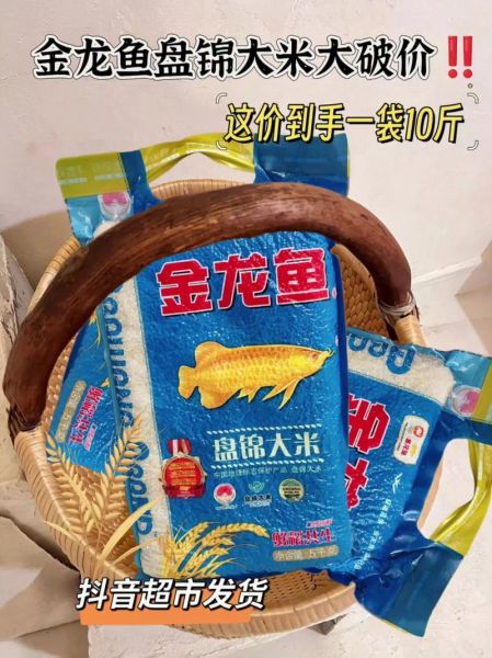 大米鱼是什么鱼_大米鱼价格多少钱一斤-第1张图片-山城妙识 大米鱼是什么鱼_大米鱼价格多少钱一斤-第1张图片-山城妙识