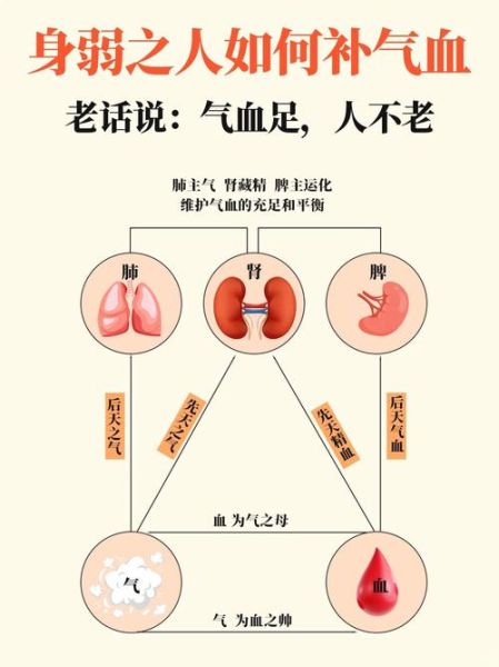 气血不足的症状有哪些表现_气血不足怎么补-第1张图片-山城妙识 气血不足的症状有哪些表现_气血不足怎么补-第1张图片-山城妙识