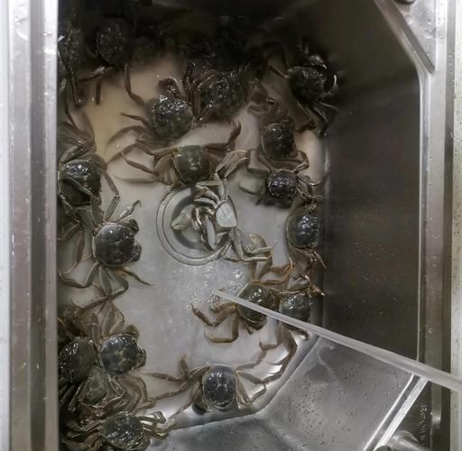 小河蟹怎么做好吃_小河蟹清蒸还是香辣-第2张图片-山城妙识 小河蟹怎么做好吃_小河蟹清蒸还是香辣-第2张图片-山城妙识