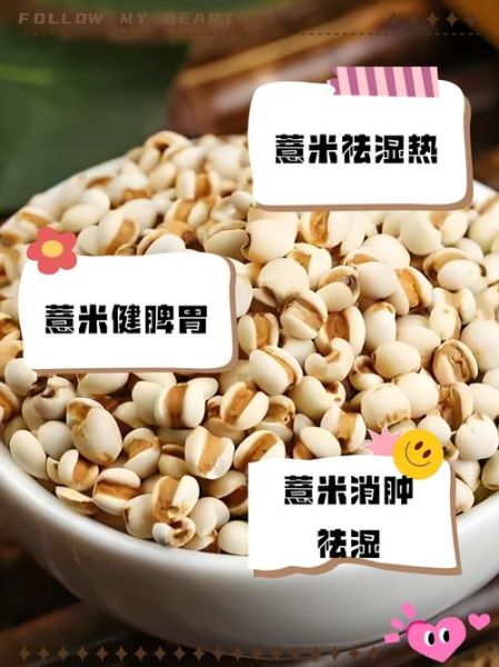 薏米仁怎么煮才能煮烂_薏米仁快速煮烂的方法-第3张图片-山城妙识 薏米仁怎么煮才能煮烂_薏米仁快速煮烂的方法-第3张图片-山城妙识