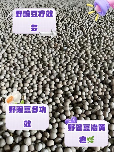 碗豆的功效与作用_碗豆怎么吃最营养-第3张图片-山城妙识 碗豆的功效与作用_碗豆怎么吃最营养-第3张图片-山城妙识