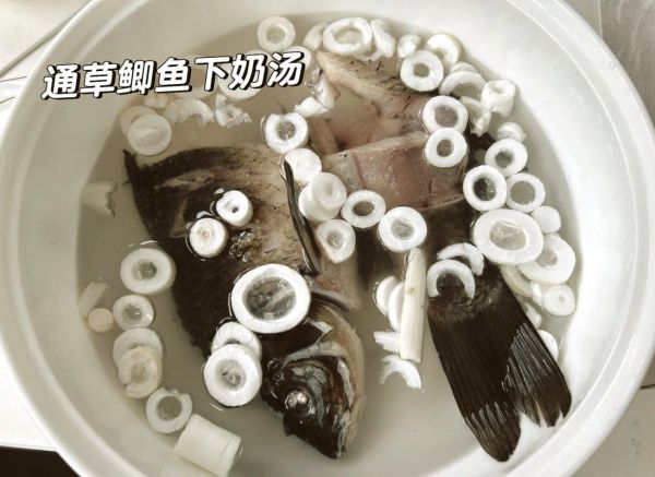 通草下奶效果怎么样_通草怎么吃下奶最快-第1张图片-山城妙识 通草下奶效果怎么样_通草怎么吃下奶最快-第1张图片-山城妙识