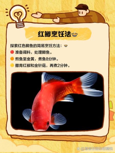 红鲫鱼怎么养_红鲫鱼能长多大-第2张图片-山城妙识 红鲫鱼怎么养_红鲫鱼能长多大-第2张图片-山城妙识