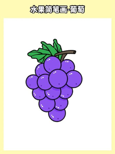 水果简笔画怎么画_彩色水果简笔画教程-第1张图片-山城妙识 水果简笔画怎么画_彩色水果简笔画教程-第1张图片-山城妙识