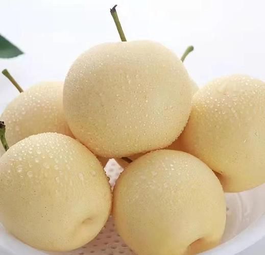 冰糖雪梨用贡梨还是皇冠梨_哪个更润肺止咳-第1张图片-山城妙识 冰糖雪梨用贡梨还是皇冠梨_哪个更润肺止咳-第1张图片-山城妙识