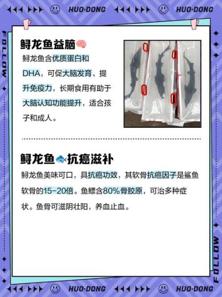 鲟龙鱼的功效与禁忌_孕妇能吃吗-第3张图片-山城妙识 鲟龙鱼的功效与禁忌_孕妇能吃吗-第3张图片-山城妙识