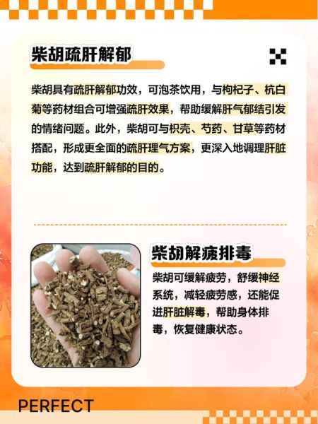 柴胡的功效与作用是什么_柴胡能退烧吗-第1张图片-山城妙识