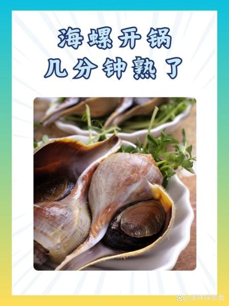 水煮海螺怎么做_水煮海螺要煮多久-第1张图片-山城妙识