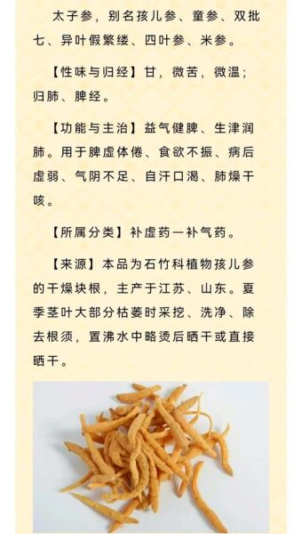 太子参的功效与作用及禁忌_哪些人不能吃太子参-第1张图片-山城妙识