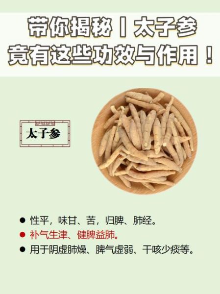 太子参的功效与作用及禁忌_哪些人不能吃太子参-第3张图片-山城妙识