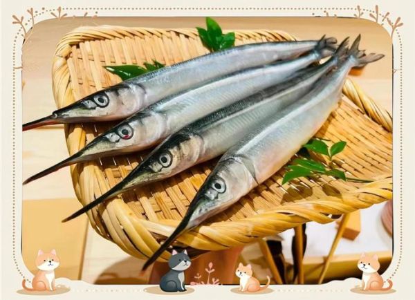 鱵鱼怎么钓_鱵鱼营养价值高吗-第1张图片-山城妙识 鱵鱼怎么钓_鱵鱼营养价值高吗-第1张图片-山城妙识