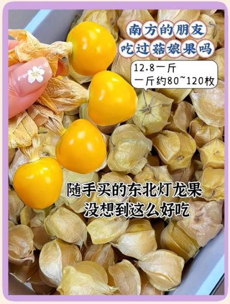 灯笼果可以直接吃吗_灯笼果怎么吃才安全-第1张图片-山城妙识 灯笼果可以直接吃吗_灯笼果怎么吃才安全-第1张图片-山城妙识