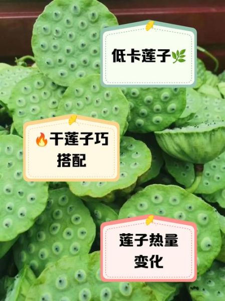 莲子粥热量高吗_莲子粥减肥能吃吗-第2张图片-山城妙识 莲子粥热量高吗_莲子粥减肥能吃吗-第2张图片-山城妙识