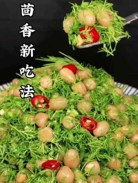 茴香最简单的吃法_怎么做才香-第3张图片-山城妙识