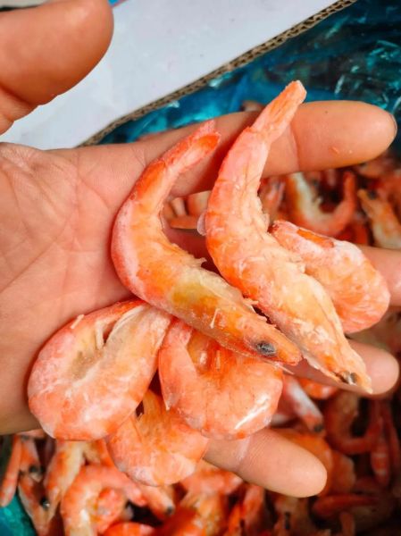 虾要煮多久才熟_如何判断虾是否熟透-第3张图片-山城妙识 虾要煮多久才熟_如何判断虾是否熟透-第3张图片-山城妙识