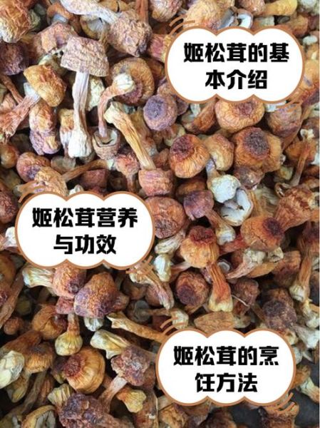 姬松茸多少钱一斤_姬松茸价格影响因素-第1张图片-山城妙识