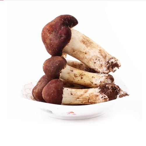 姬松茸多少钱一斤_姬松茸价格影响因素-第3张图片-山城妙识