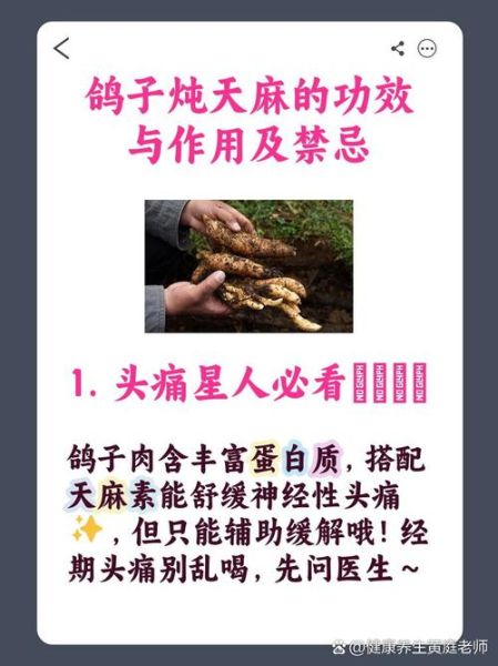 天麻炖鸽子禁忌_什么人不能吃-第1张图片-山城妙识