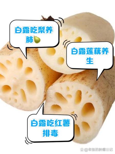 白露吃什么水果好_白露节气水果推荐-第3张图片-山城妙识