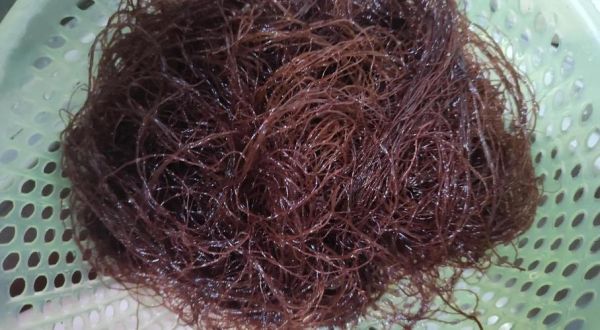 绿蚕蛹怎么做好吃_绿蚕蛹的做法大全-第1张图片-山城妙识 绿蚕蛹怎么做好吃_绿蚕蛹的做法大全-第1张图片-山城妙识