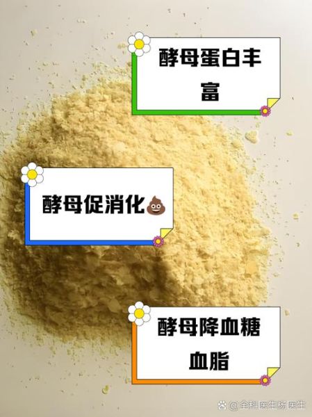 啤酒酵母是什么_啤酒酵母的作用与功效-第1张图片-山城妙识 啤酒酵母是什么_啤酒酵母的作用与功效-第1张图片-山城妙识