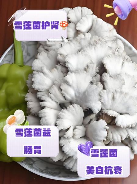 雪莲菌的危害有哪些_雪莲菌喝了会中毒吗-第2张图片-山城妙识