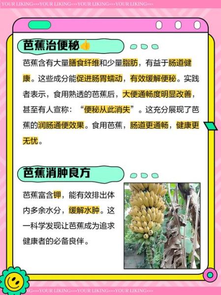 芭蕉怎么养_芭蕉多久浇一次水-第3张图片-山城妙识
