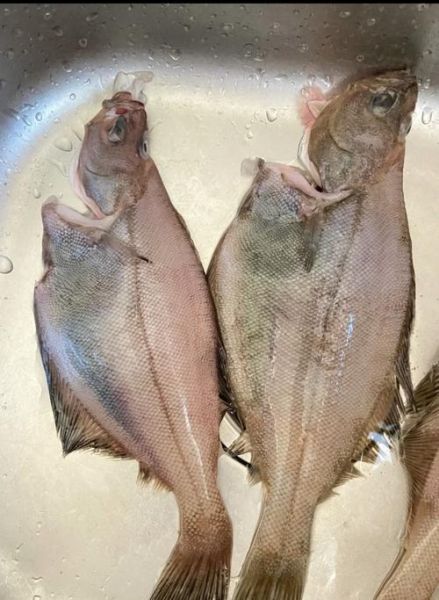 炸偏口鱼怎么做才酥脆_炸偏口鱼的家常做法大全-第2张图片-山城妙识