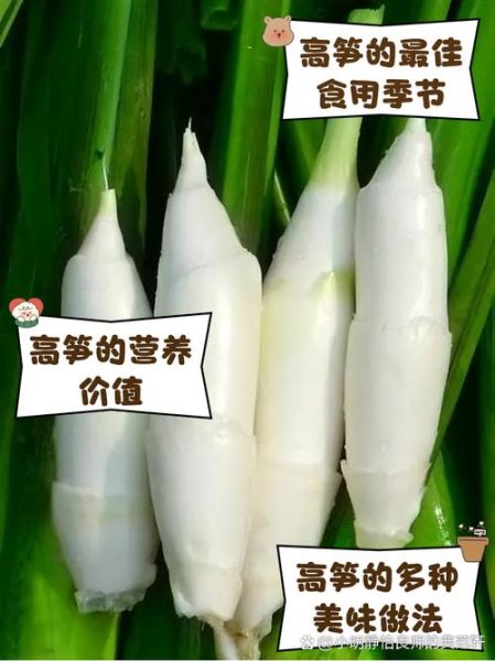 高笋怎么做好吃_高笋的营养价值有哪些-第3张图片-山城妙识